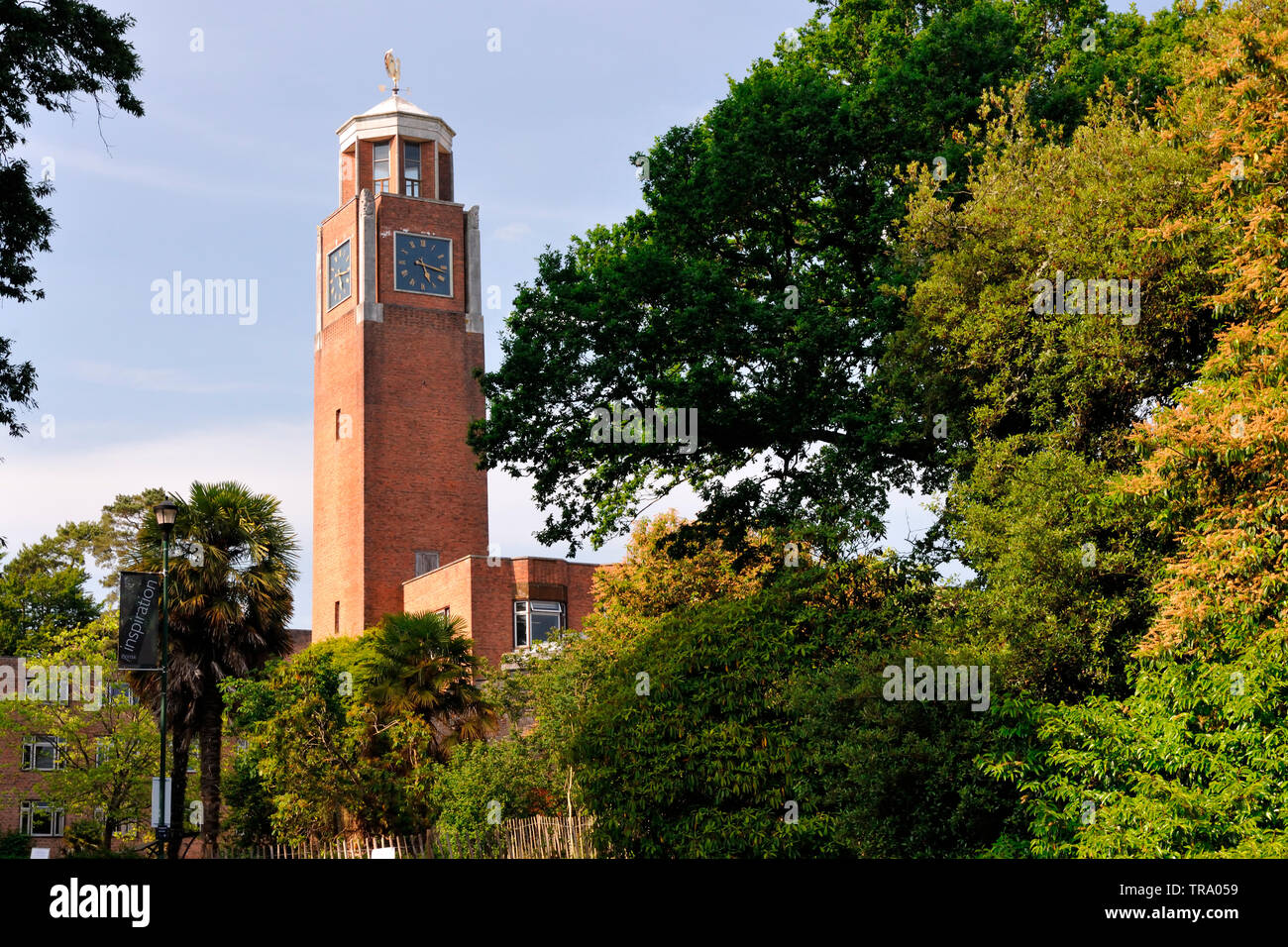 University of Exeter Clock Tower, Exeter, Devon Stock Photo - Alamy