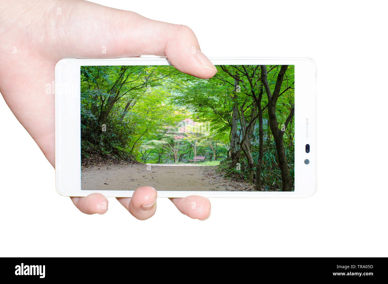 A hand holding a smartphone with a forest background Stock Photo - Alamy