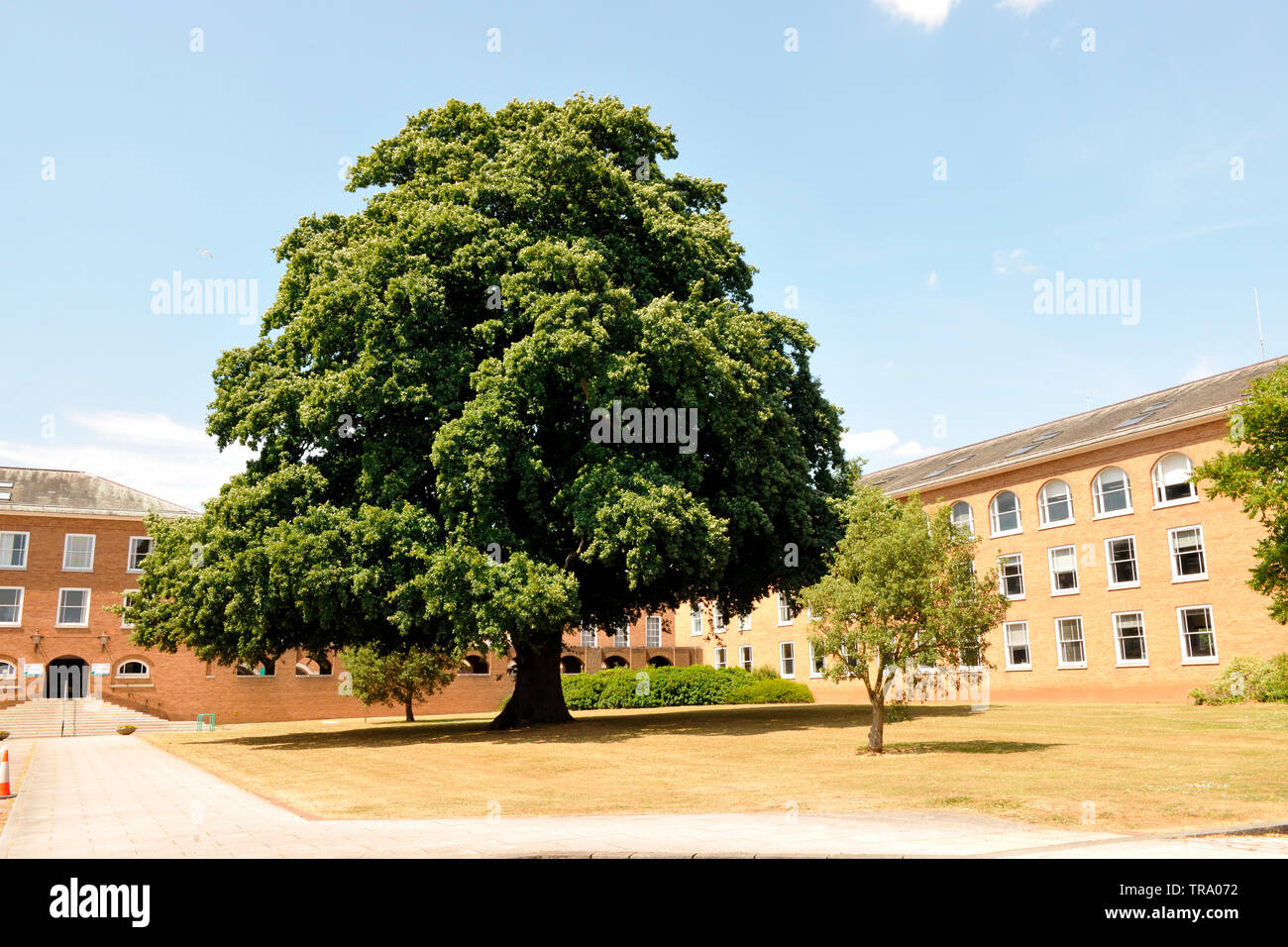 County hall exeter hi-res stock photography and images - Alamy