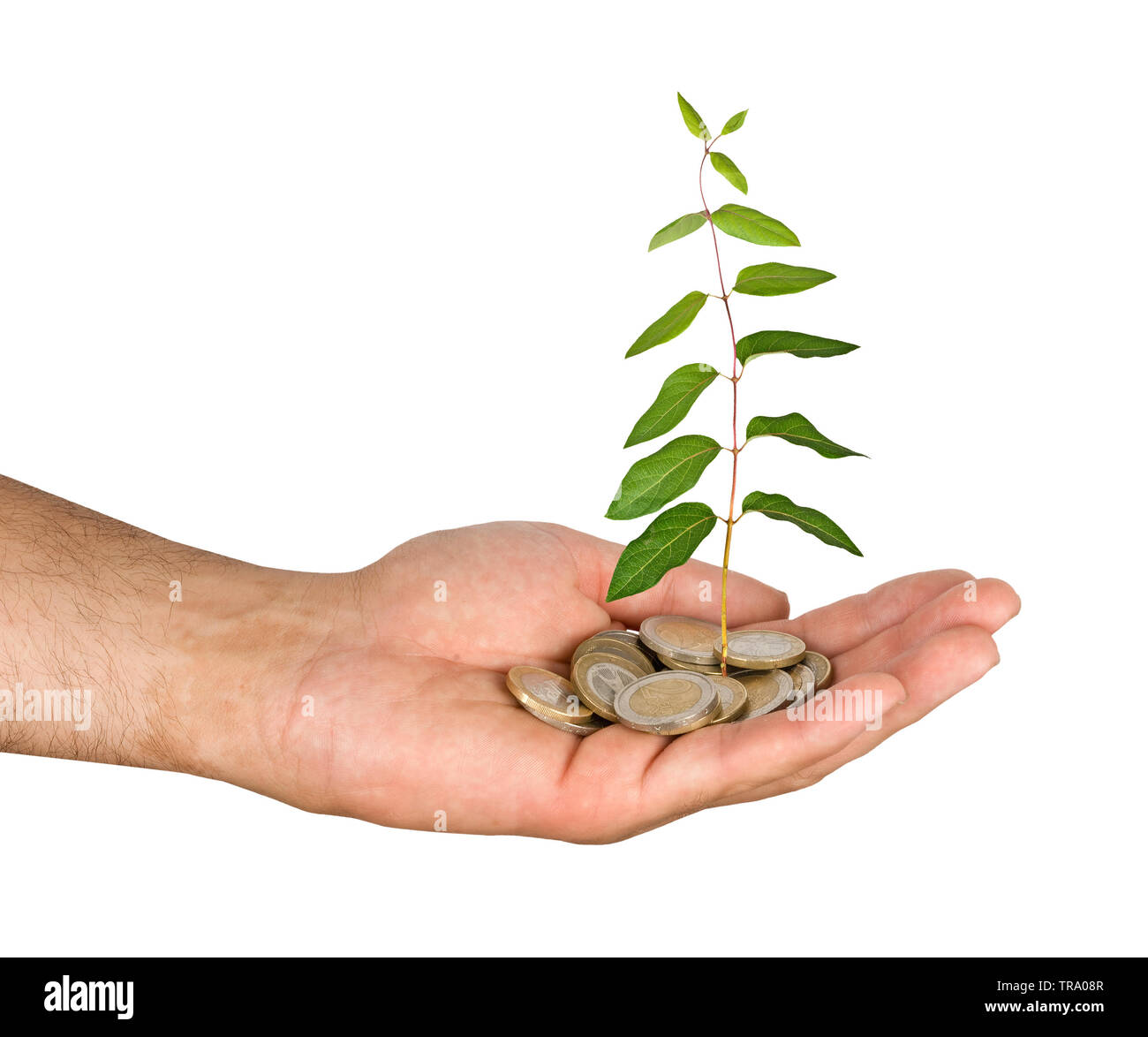 Vine leaf coin hi-res stock photography and images - Alamy
