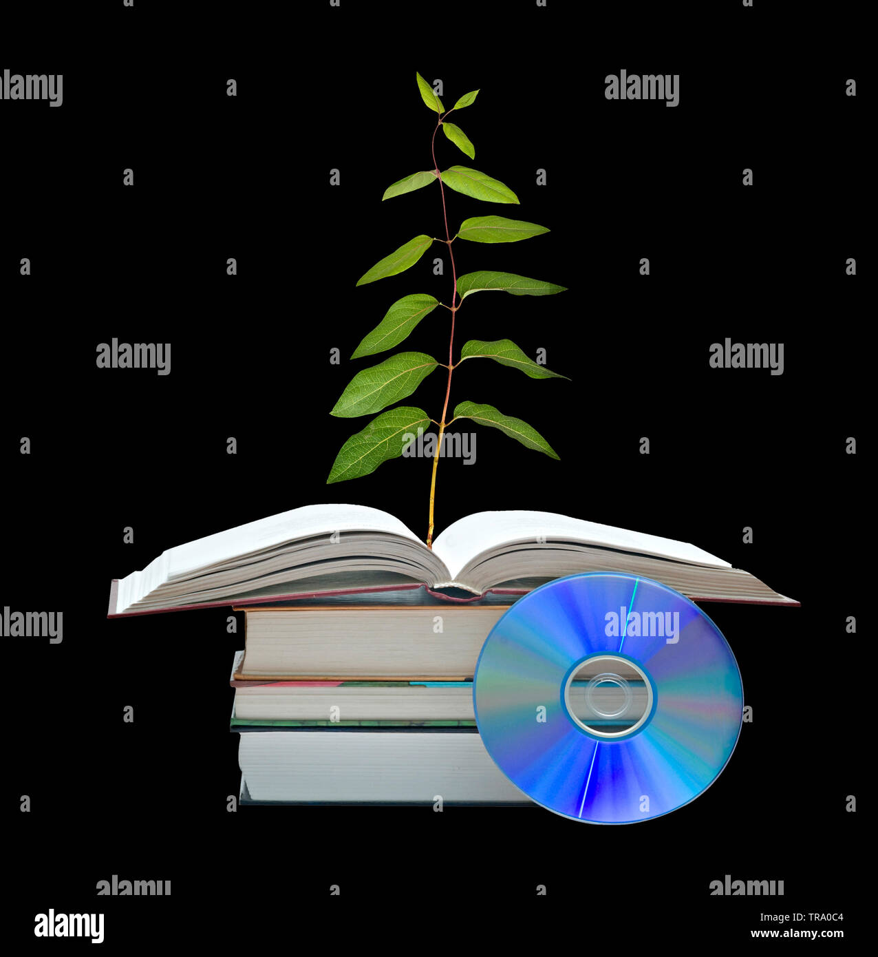 plant growing from open book Stock Photo - Alamy