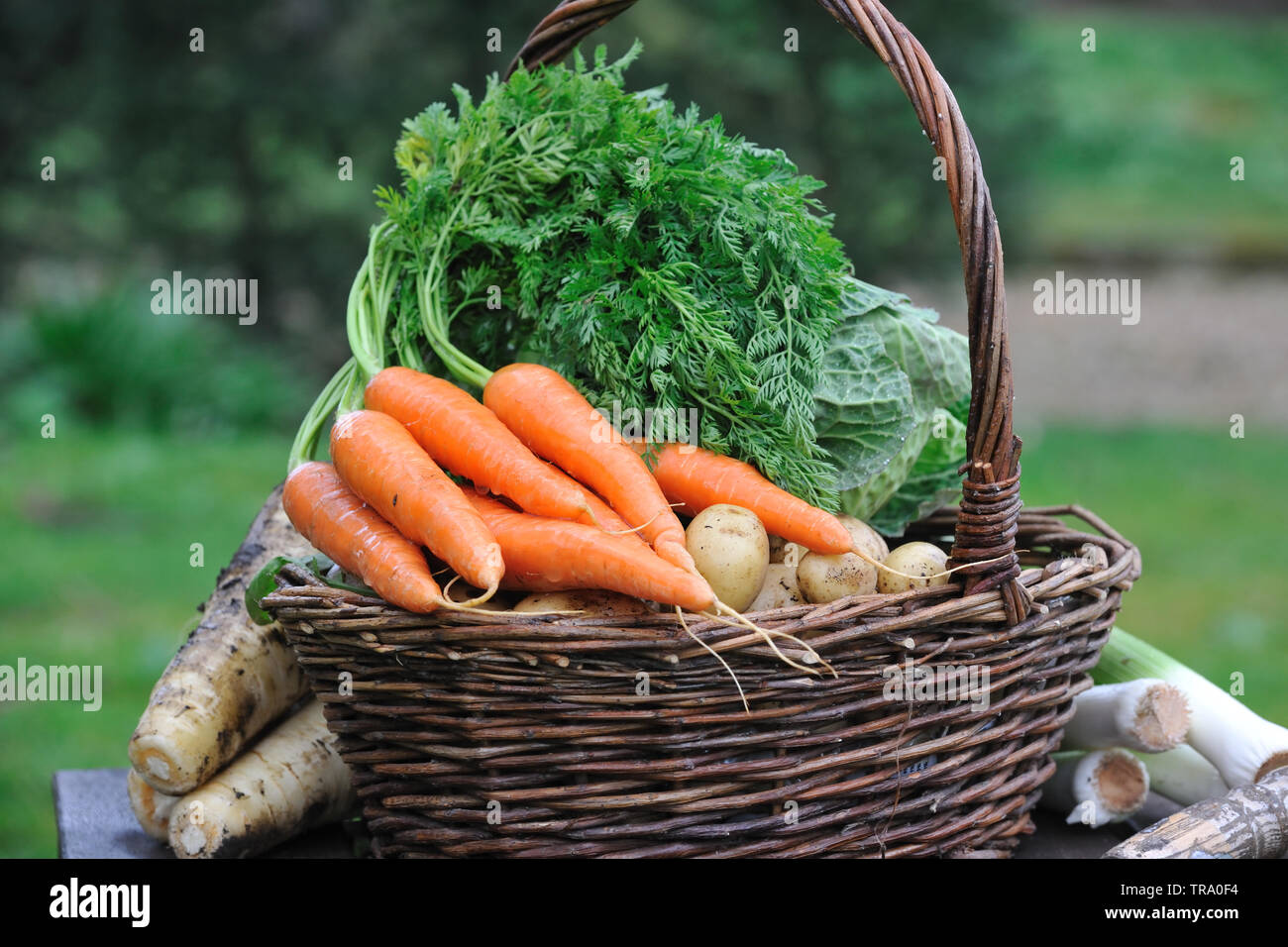 Muddy carrot hi-res stock photography and images - Alamy
