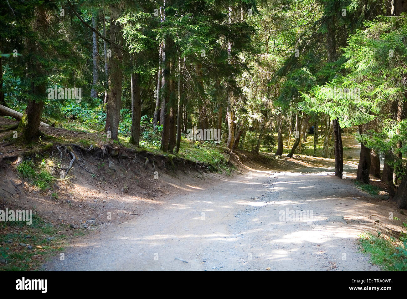 Borjomi nature reserve hi-res stock photography and images - Alamy