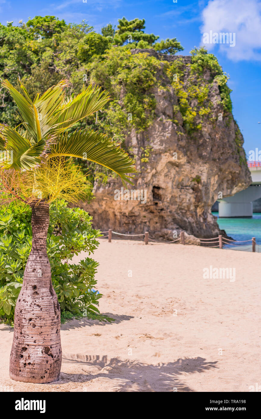 Naminoue beach with naminoue shrine hi-res stock photography and images ...