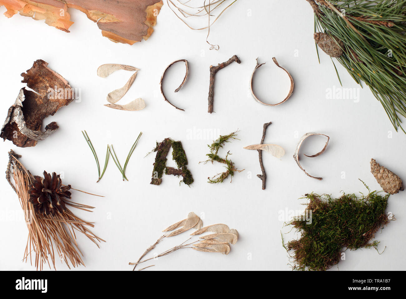 zero waste natural organic text from forest deteails on white ...