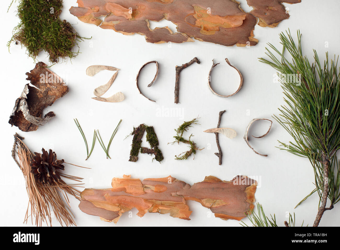 zero waste natural organic text from forest deteails on white ...