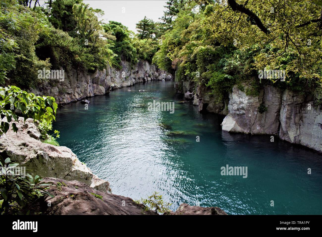 Yongyeon Pond in Jeju, Korea Stock Photo - Alamy