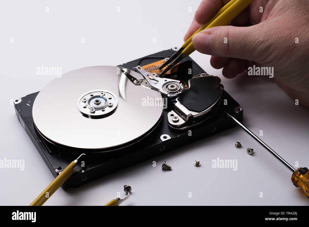 female technician hand holding and working on computer hard drive with ...
