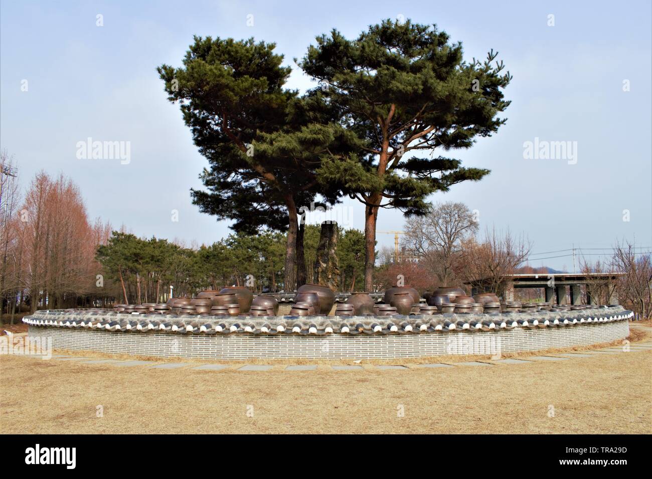 Korean forest hi-res stock photography and images - Alamy