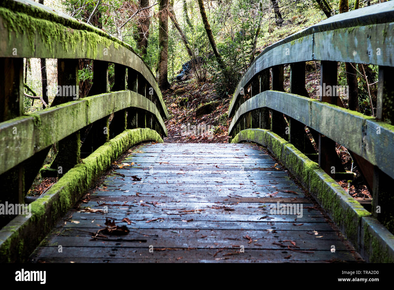 Moss covered bridge hi-res stock photography and images - Alamy