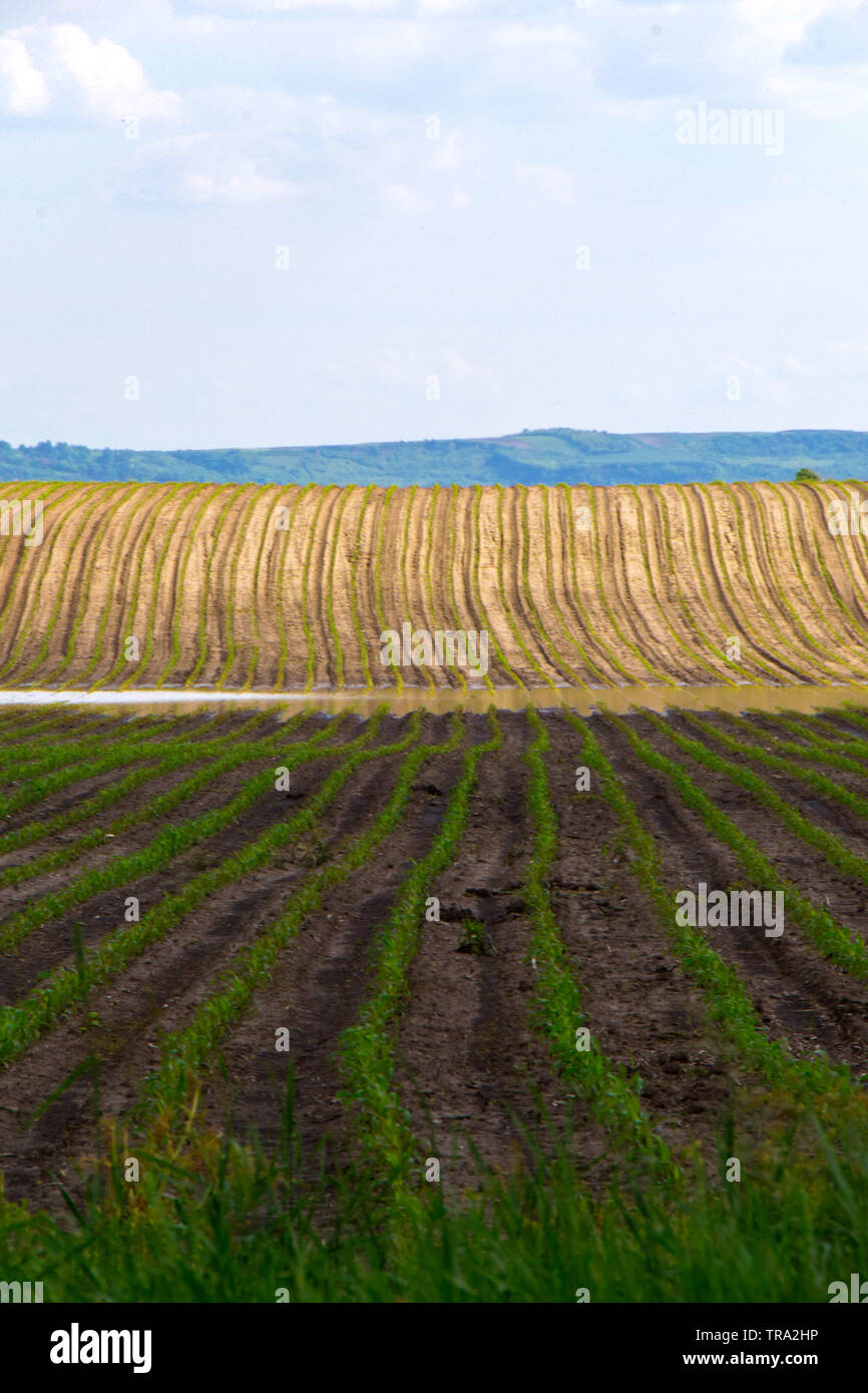 Regular lines hi-res stock photography and images - Alamy