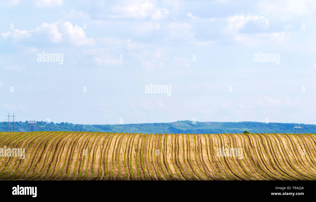 Regular lines hi-res stock photography and images - Alamy