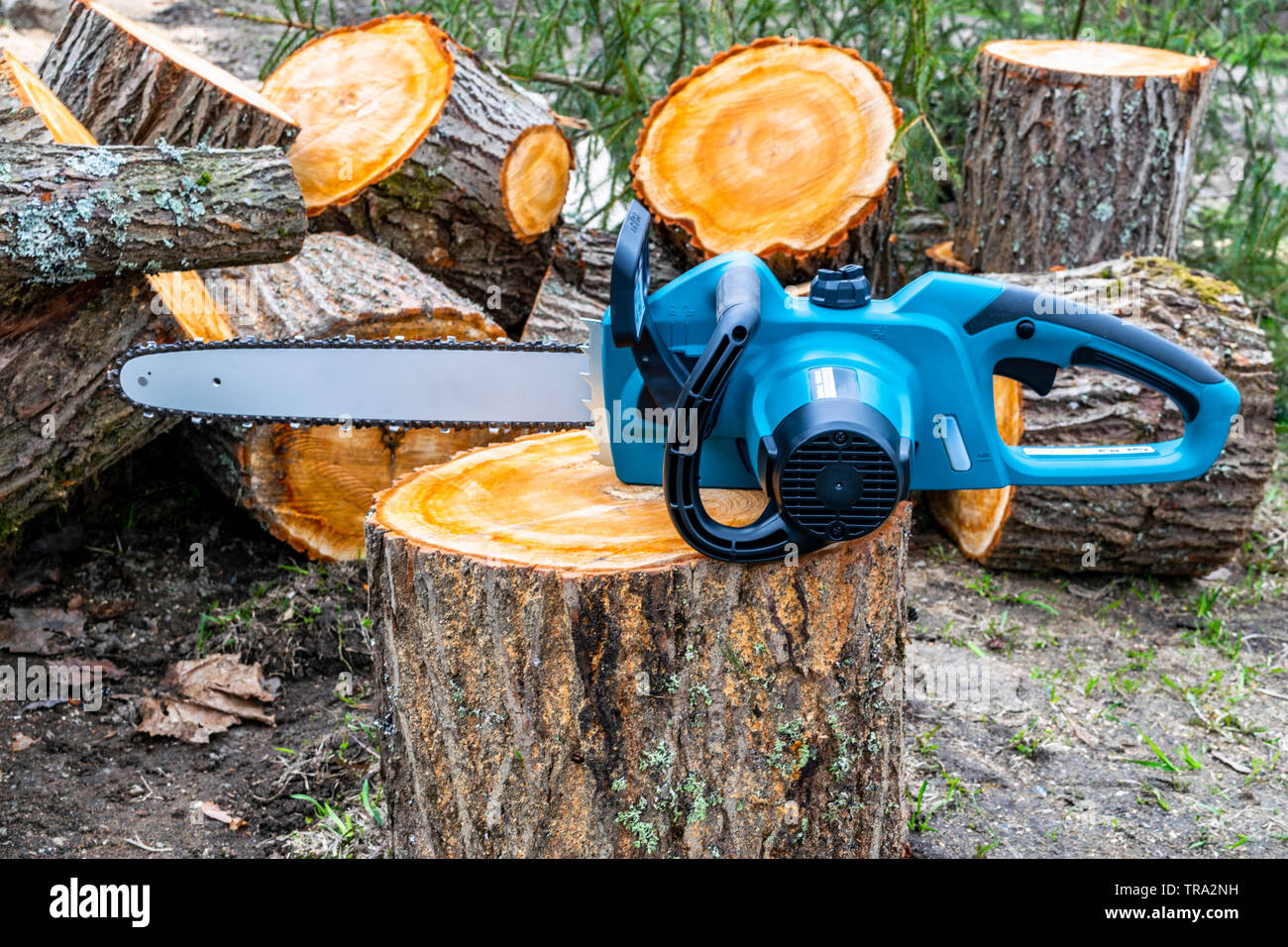 Chainsaw. Close-up of woodcutter sawing chain saw. Close up ...