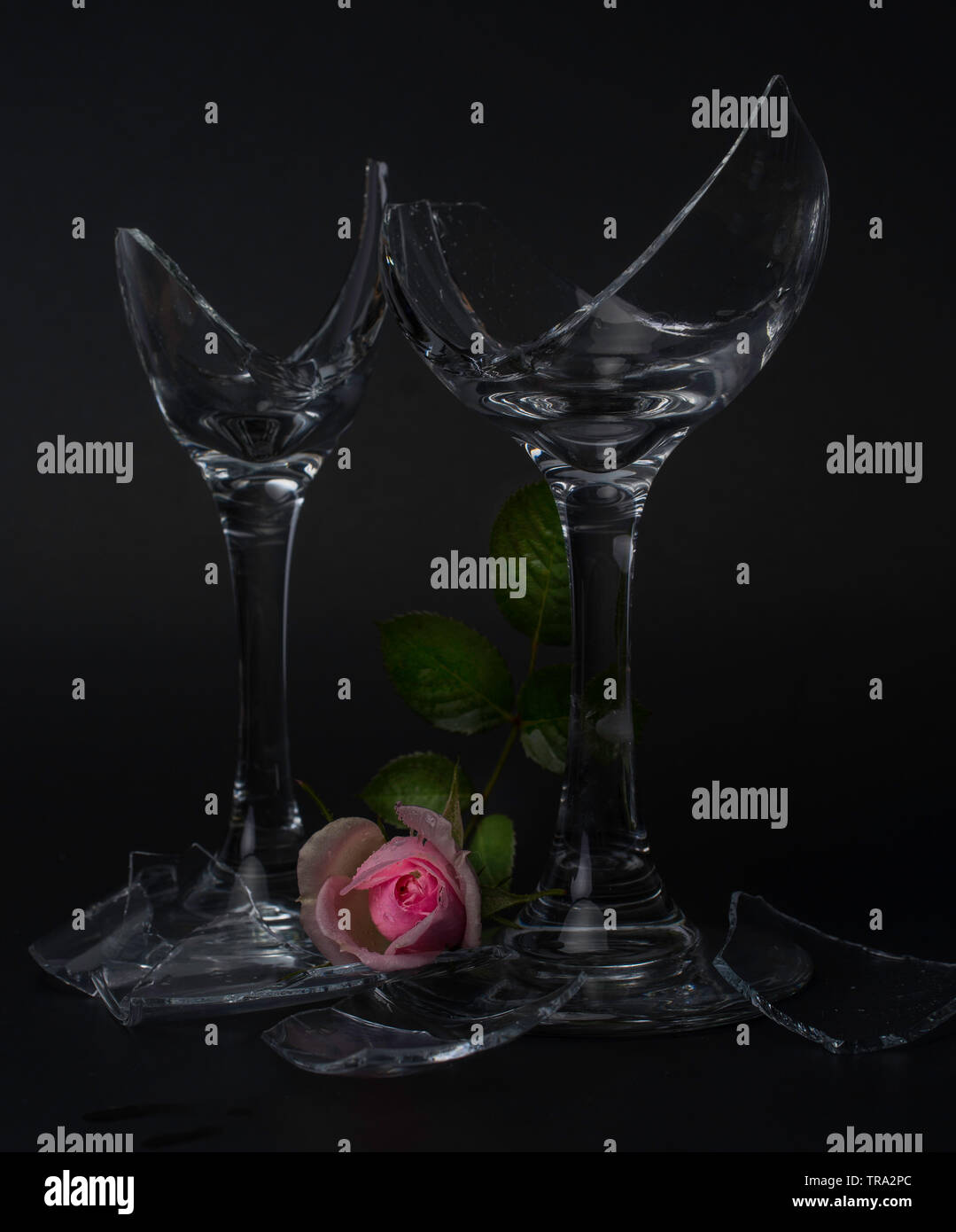 Shattered Glass Rose