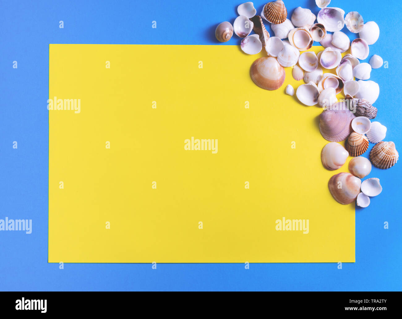 Yellow colorful mockup for design with sea shells in the corner. Summer ...