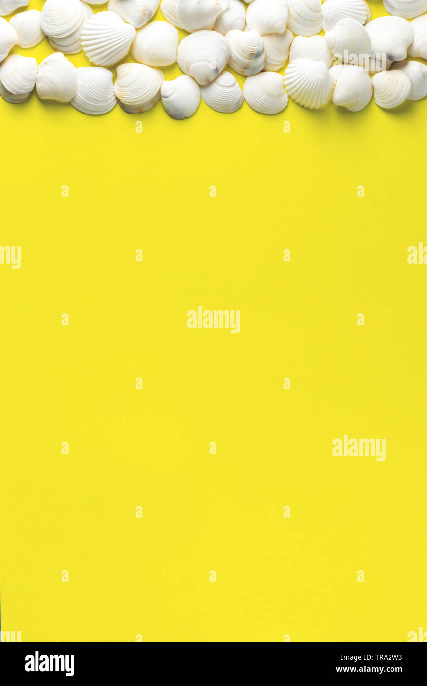 Vertical image of white sea shells on yellow background with copy space ...