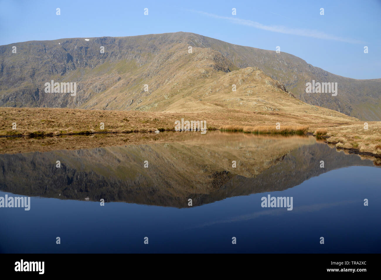 The Wainwright High Street with Long Stile Ridge & Riggindale Crag from ...