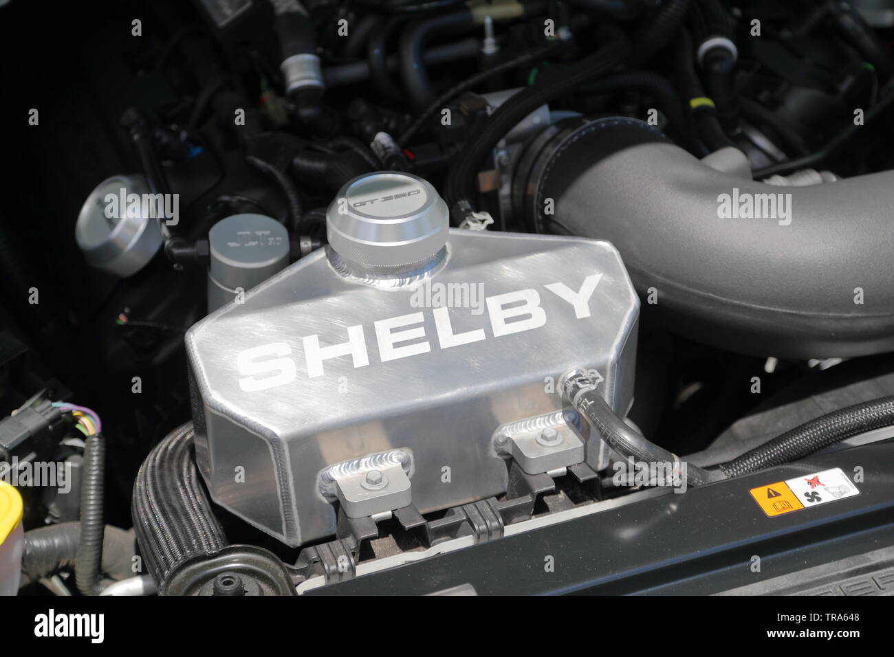 Vintage shelby cars hi-res stock photography and images - Alamy