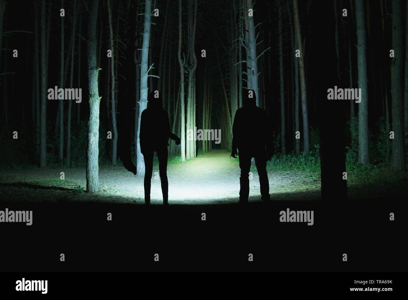 Two people in the forest with a flashlight at night Stock Photo - Alamy