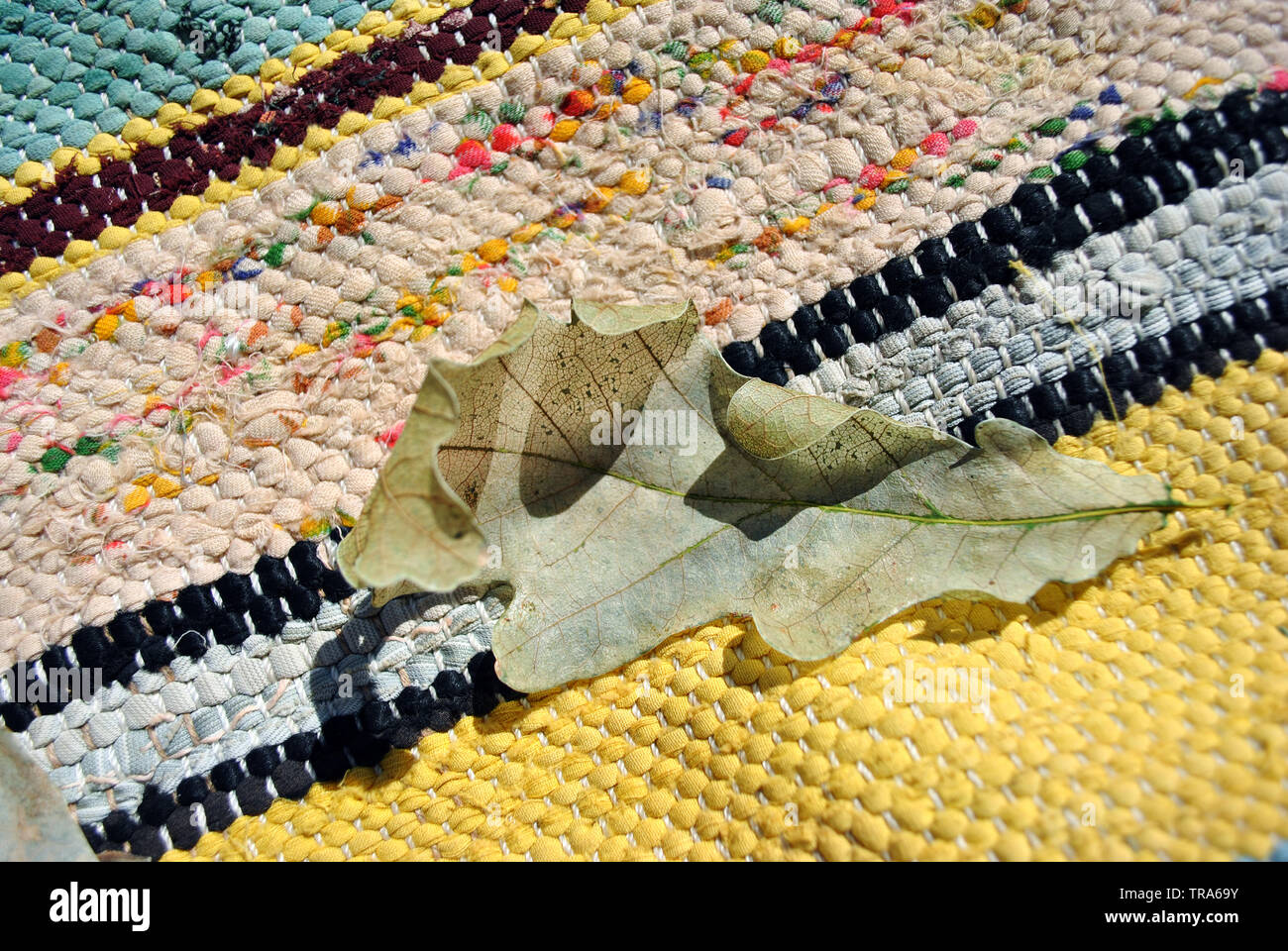 Dry white oak leaf, close up detail, bright striped colorful fabric ...