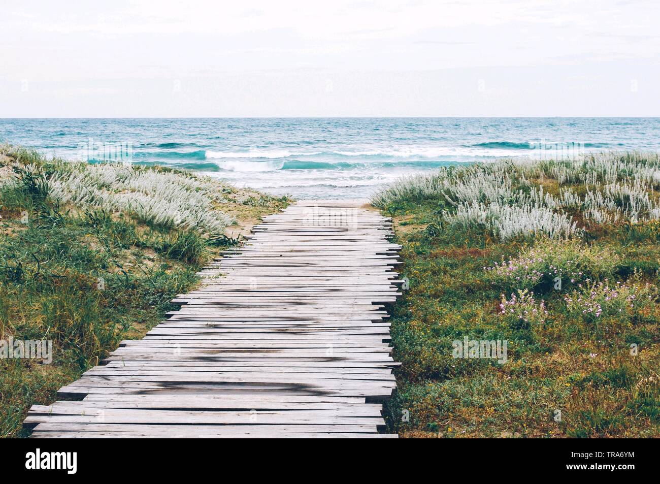 Natural beach of bridge Stock Photo - Alamy