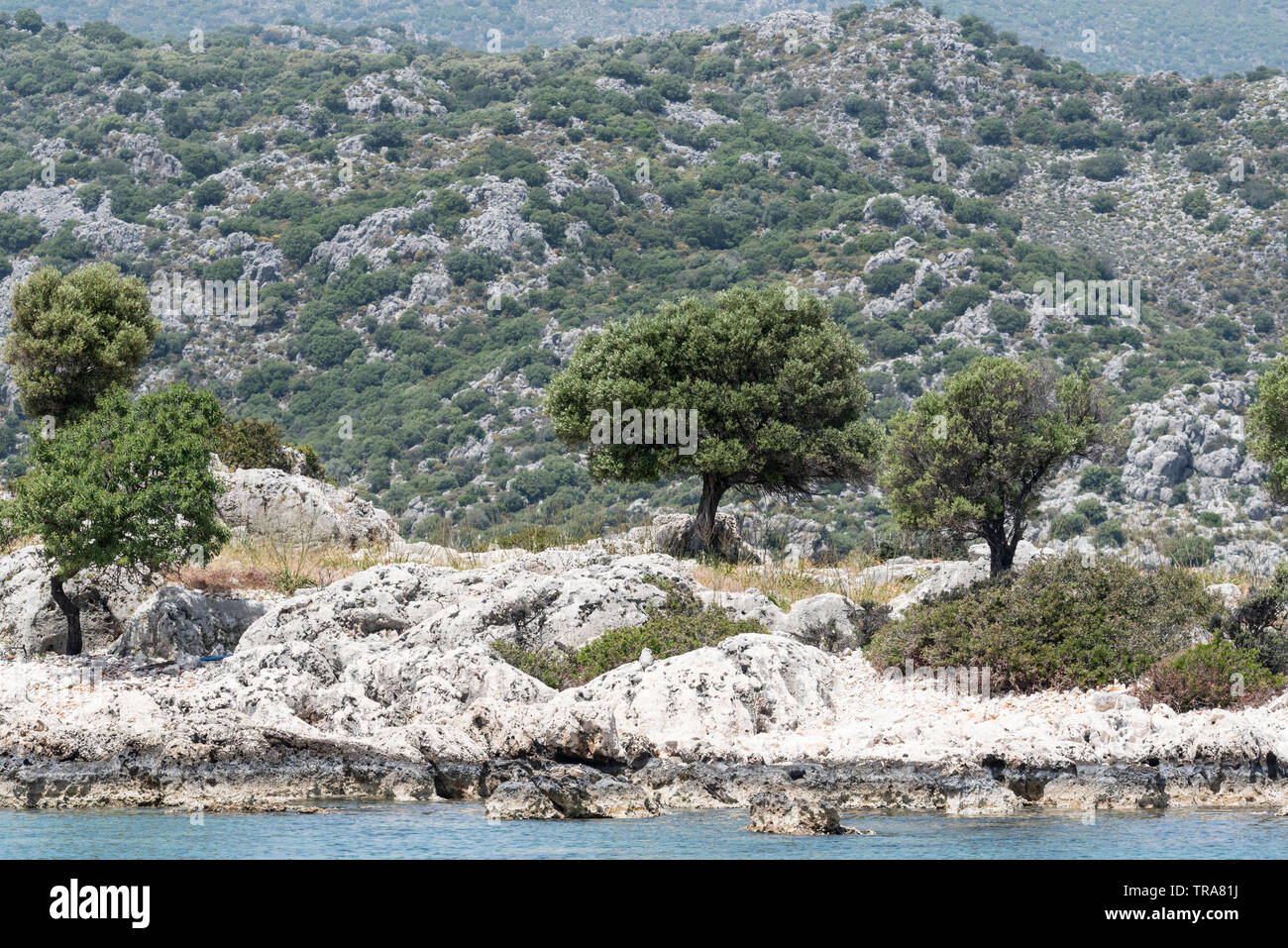 Olive trees turkey hi-res stock photography and images - Alamy