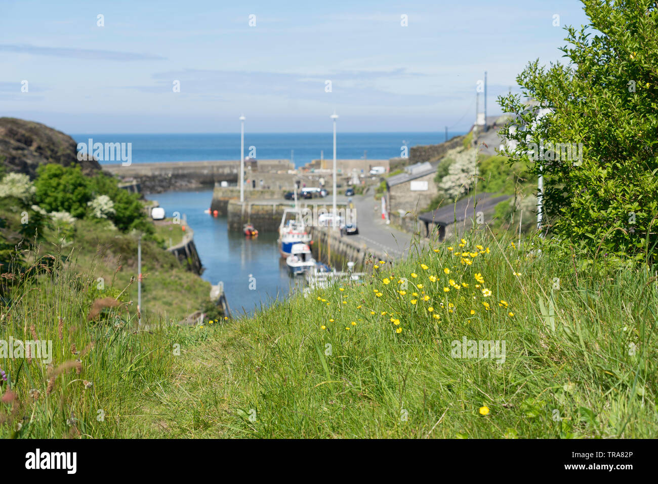 Amlwch port hi-res stock photography and images - Alamy