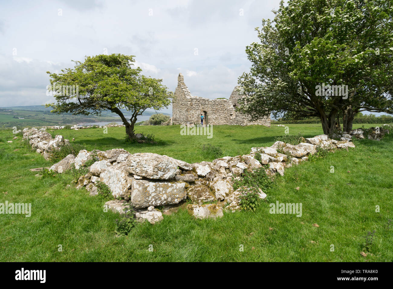 Hen Gapel Lligwy (Capel Ligwy) Ruined Chapel - Anglesey, Wales, UK ...
