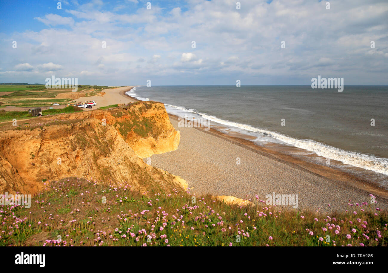 A view westwards along the cliffs to the shingle beach on the North ...