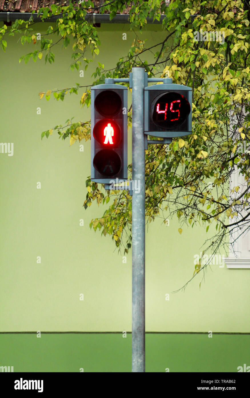 Traffic light on pedestrian crossing. Counter is counting for duration ...