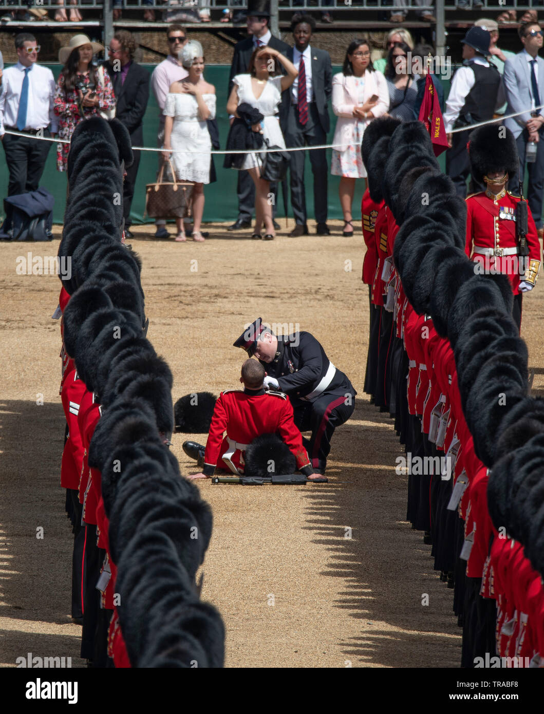 Guardsman fainted hi-res stock photography and images - Alamy