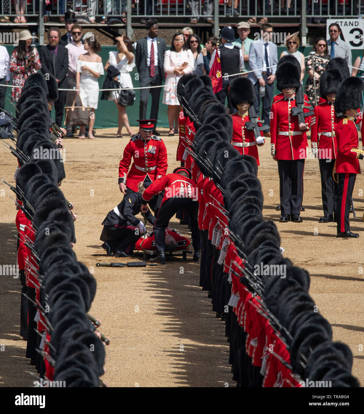 Guardsman fainted hi-res stock photography and images - Alamy