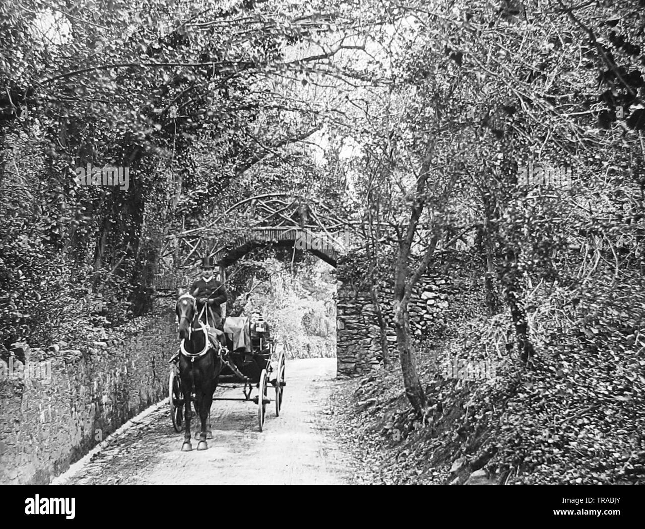 Devon country lane Stock Photo - Alamy