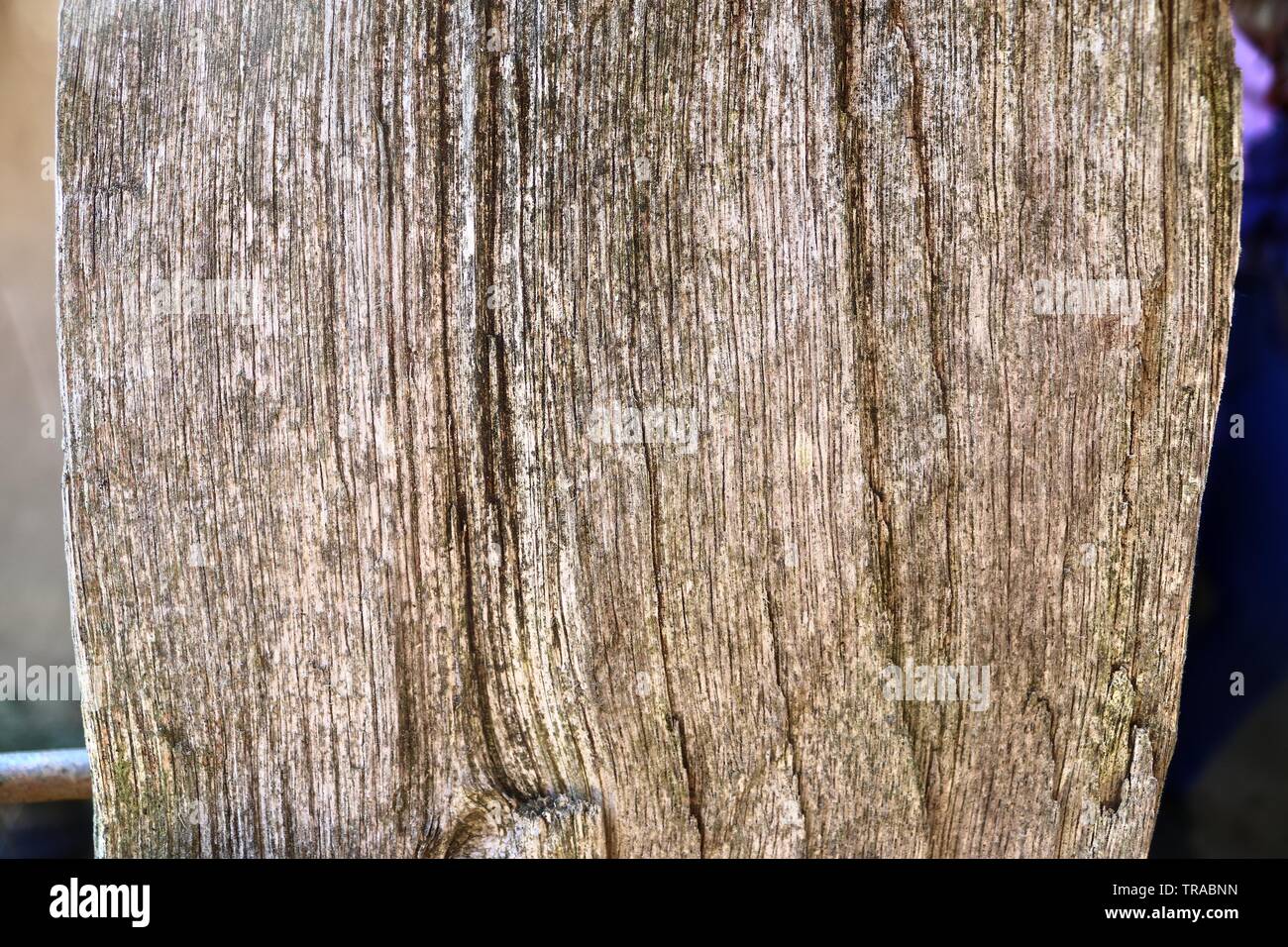 Close up view on detailed wooden plank and log surfaces in high ...