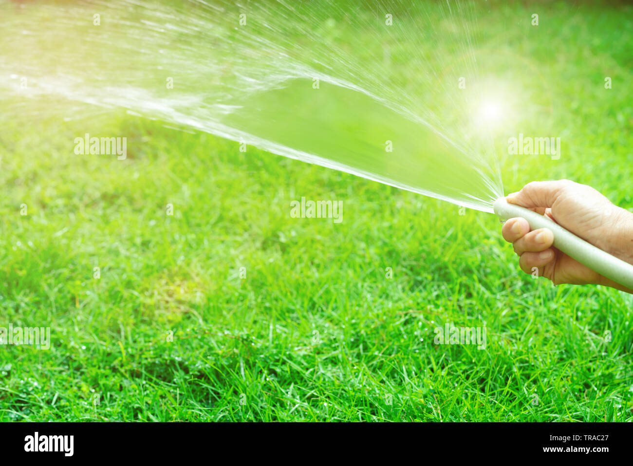 old woman hand holding rubber water hose and using finger close end of ...