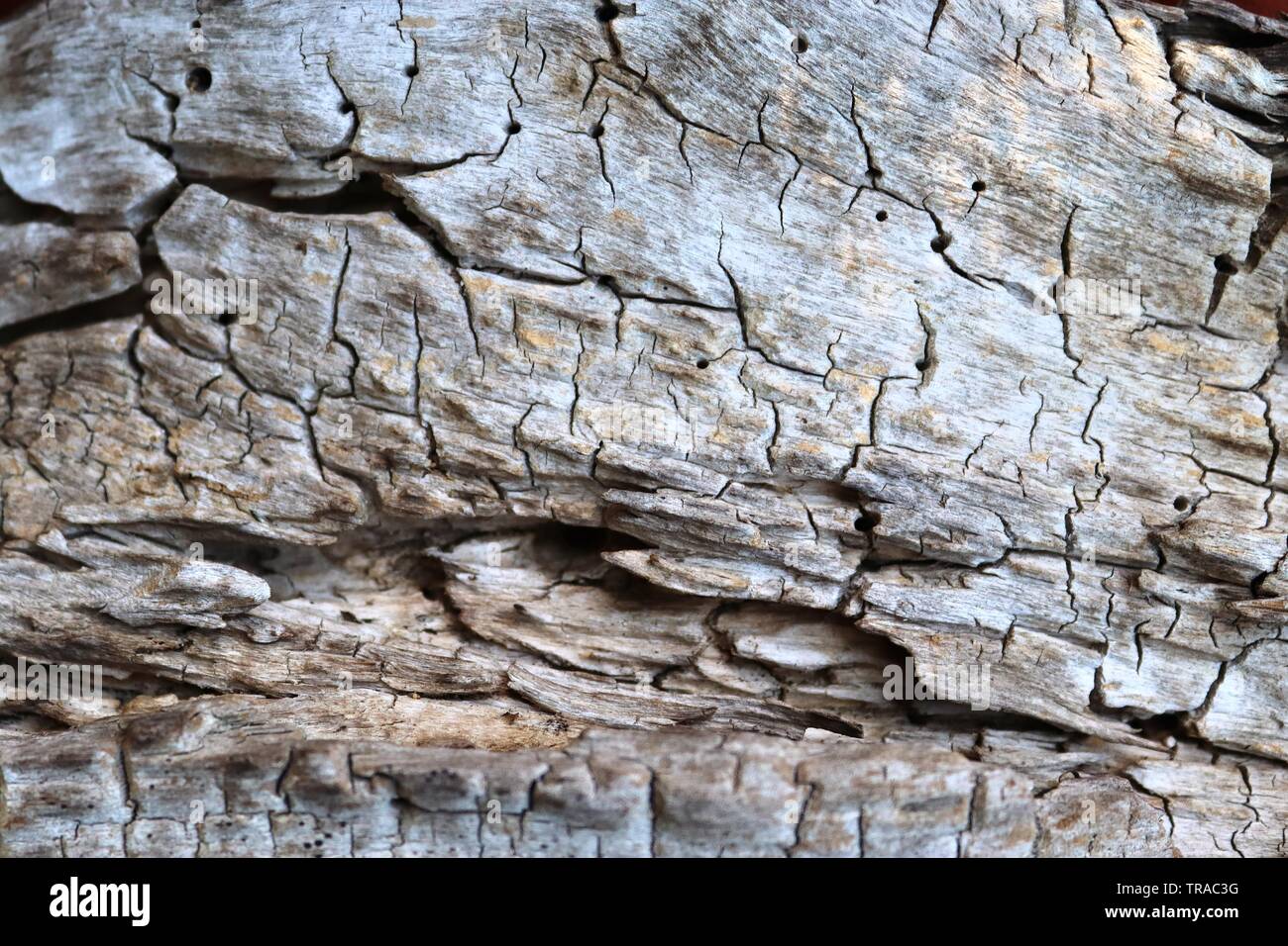 Close up view on detailed wooden plank and log surfaces in high ...