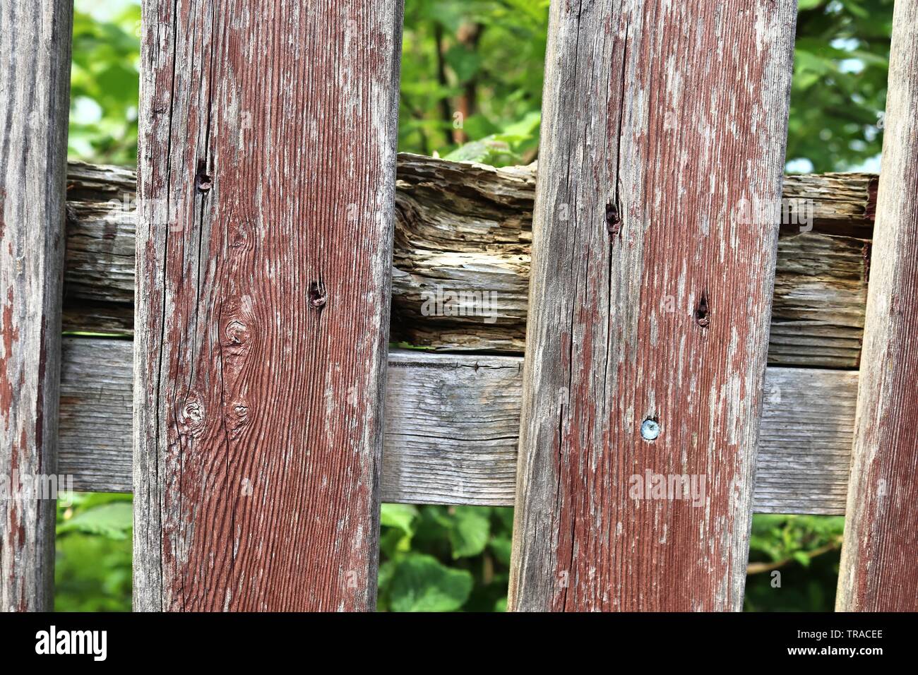 Close up view on detailed wooden plank and log surfaces in high ...