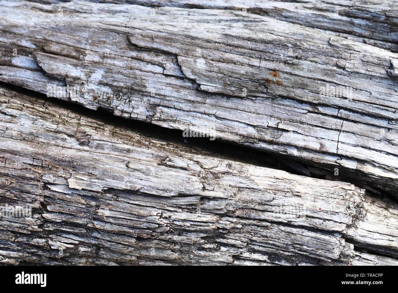 Close up view on detailed wooden plank and log surfaces in high ...