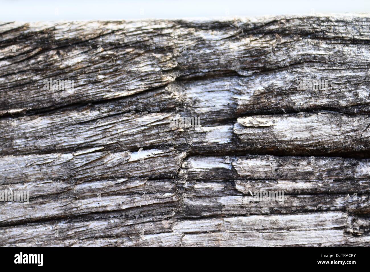 Close up view on detailed wooden plank and log surfaces in high ...