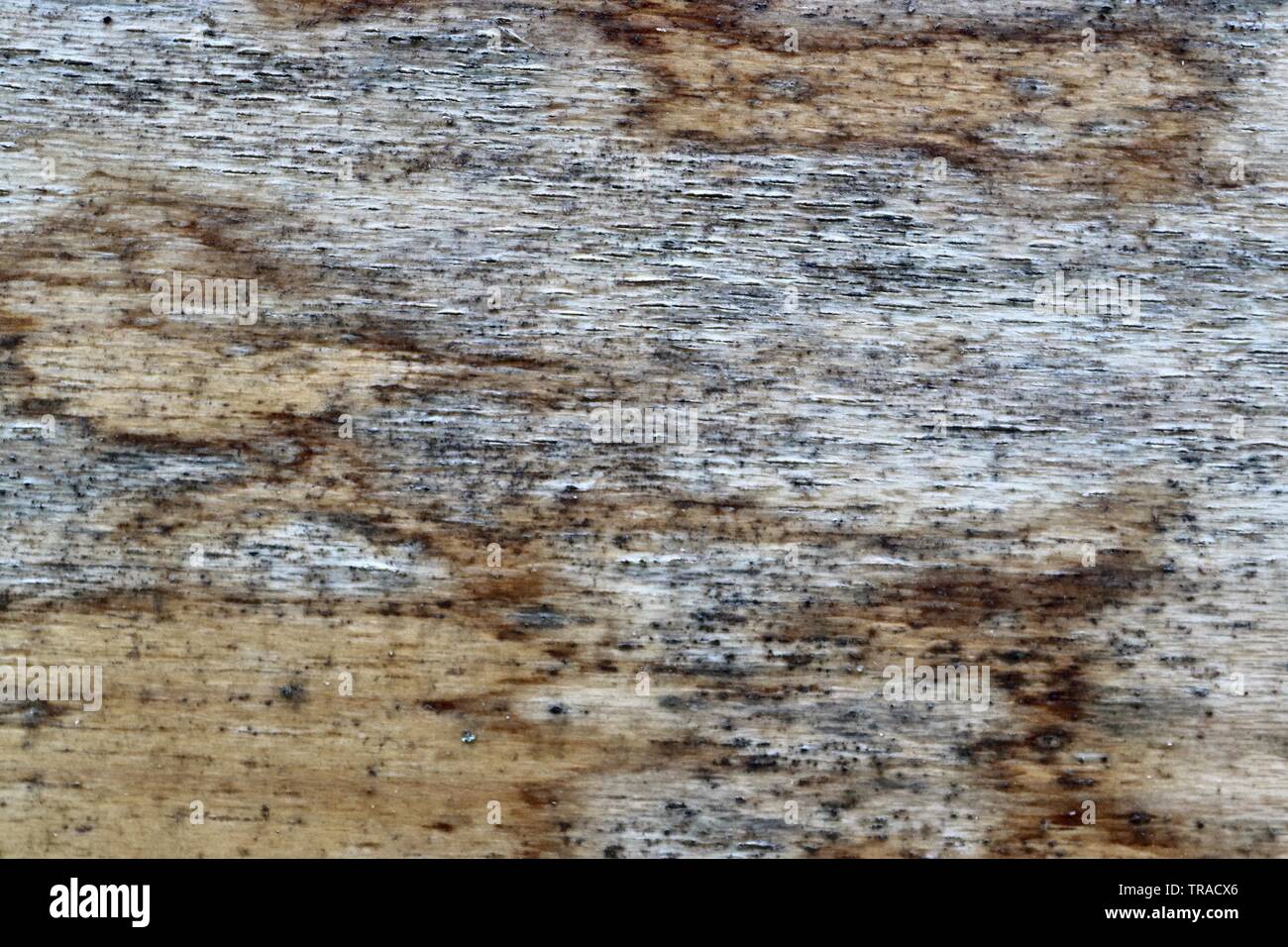 Close up view on detailed wooden plank and log surfaces in high ...