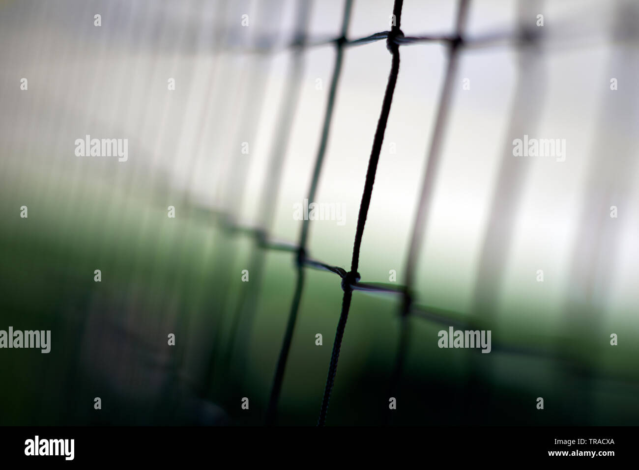 Teamsport world cup hi-res stock photography and images - Alamy