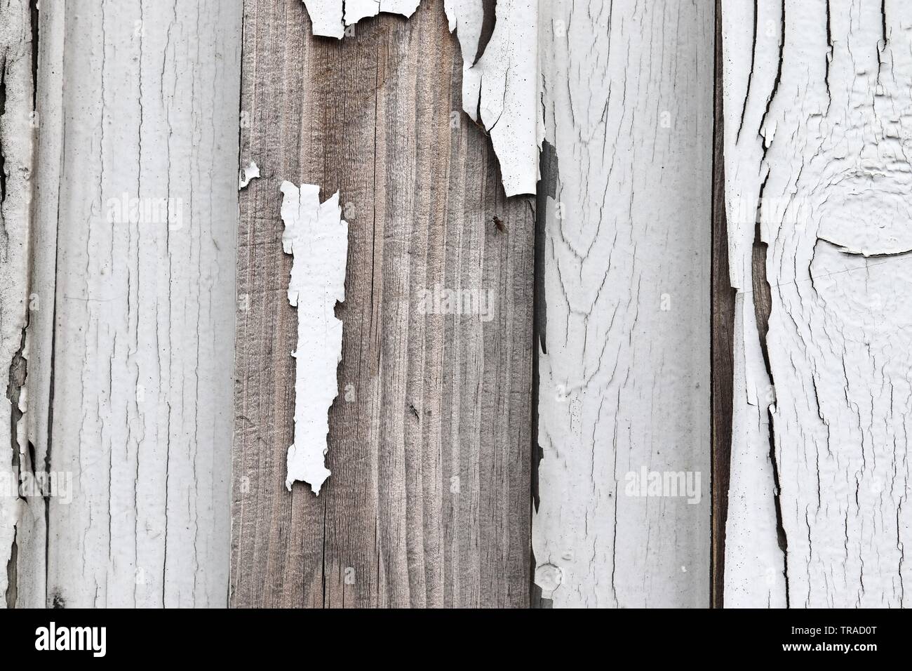 Close up view on detailed wooden plank and log surfaces in high ...