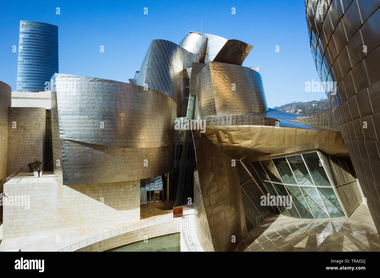 Bilbao, Biscay, Basque Country, Spain : Detail of the titanium facade ...