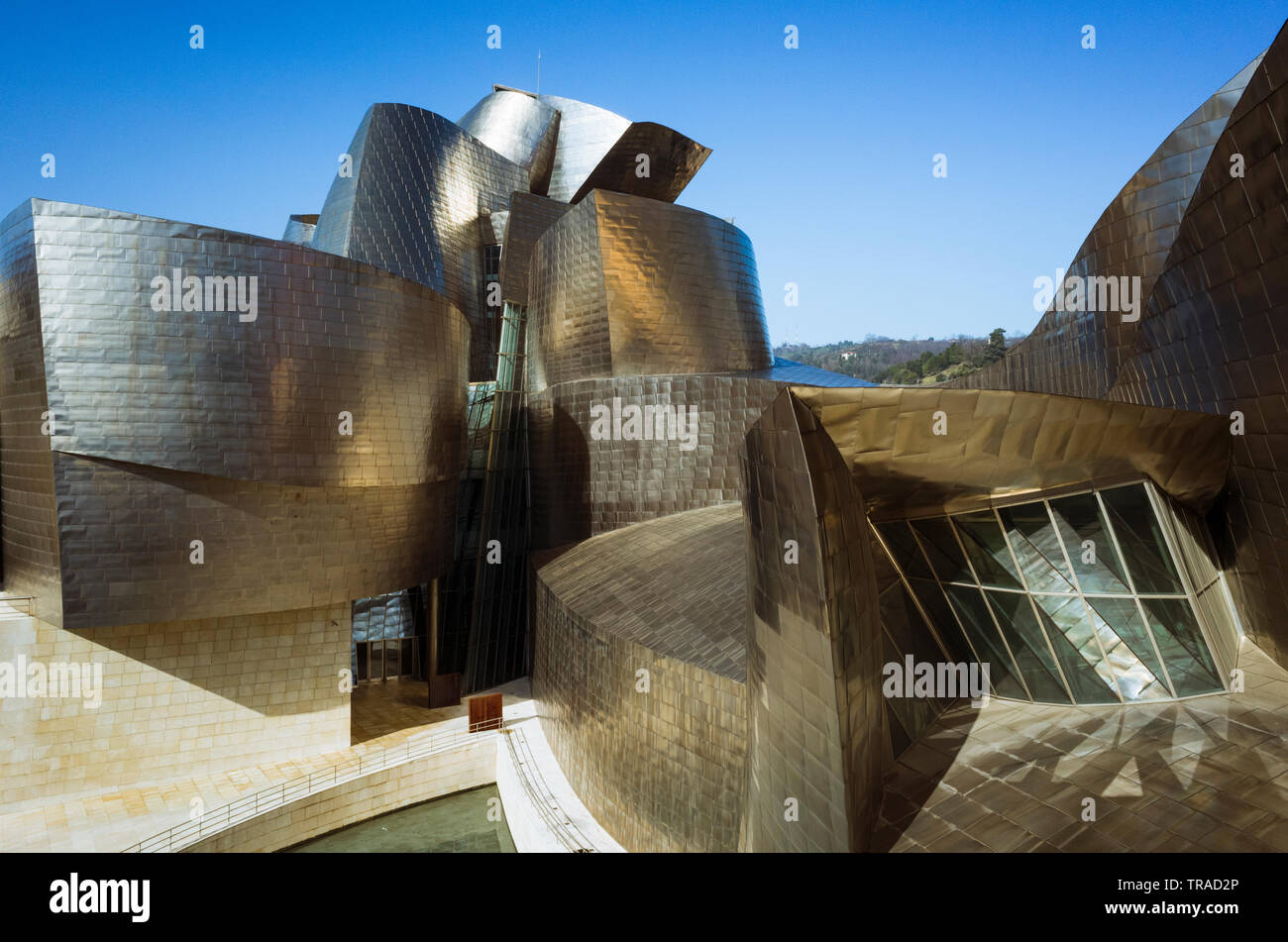 Bilbao, Biscay, Basque Country, Spain : Detail of the titanium facade ...