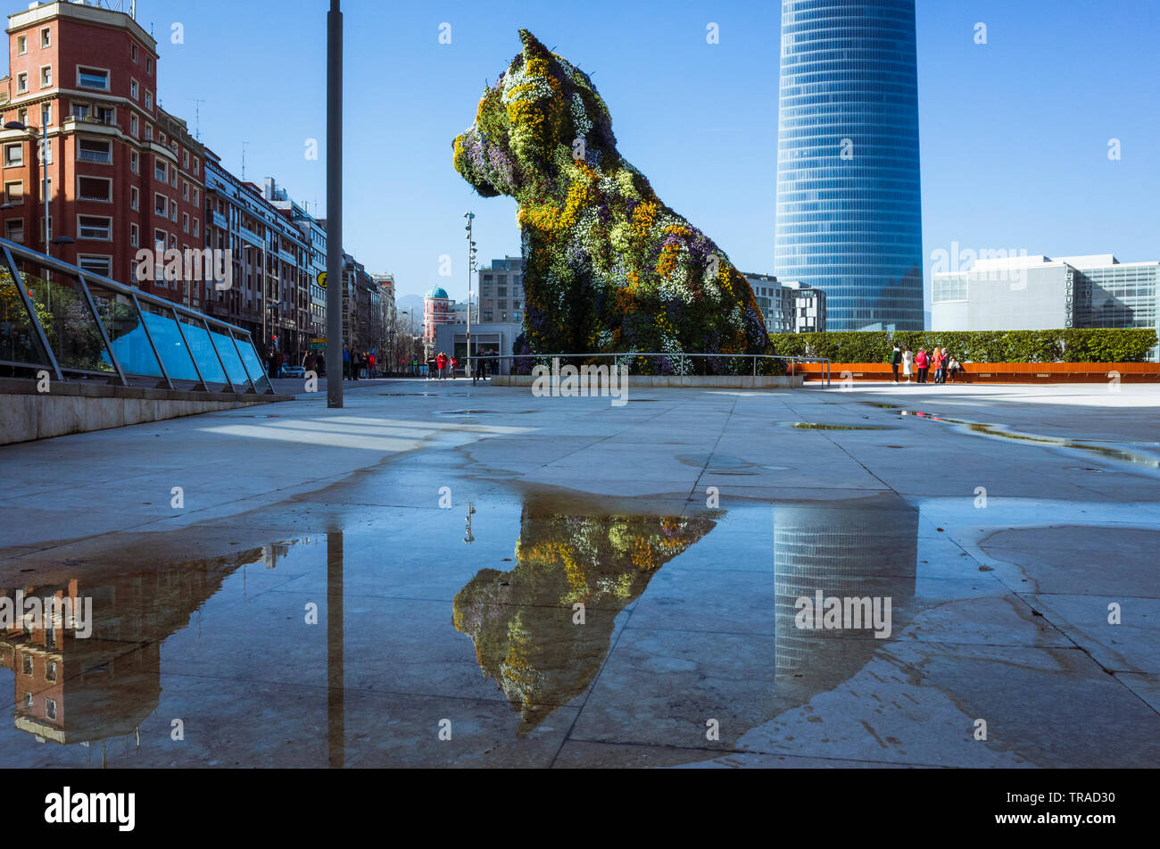 Bilbao, Biscay, Basque Country, Spain : Puppy (1992) topiary artwork by ...