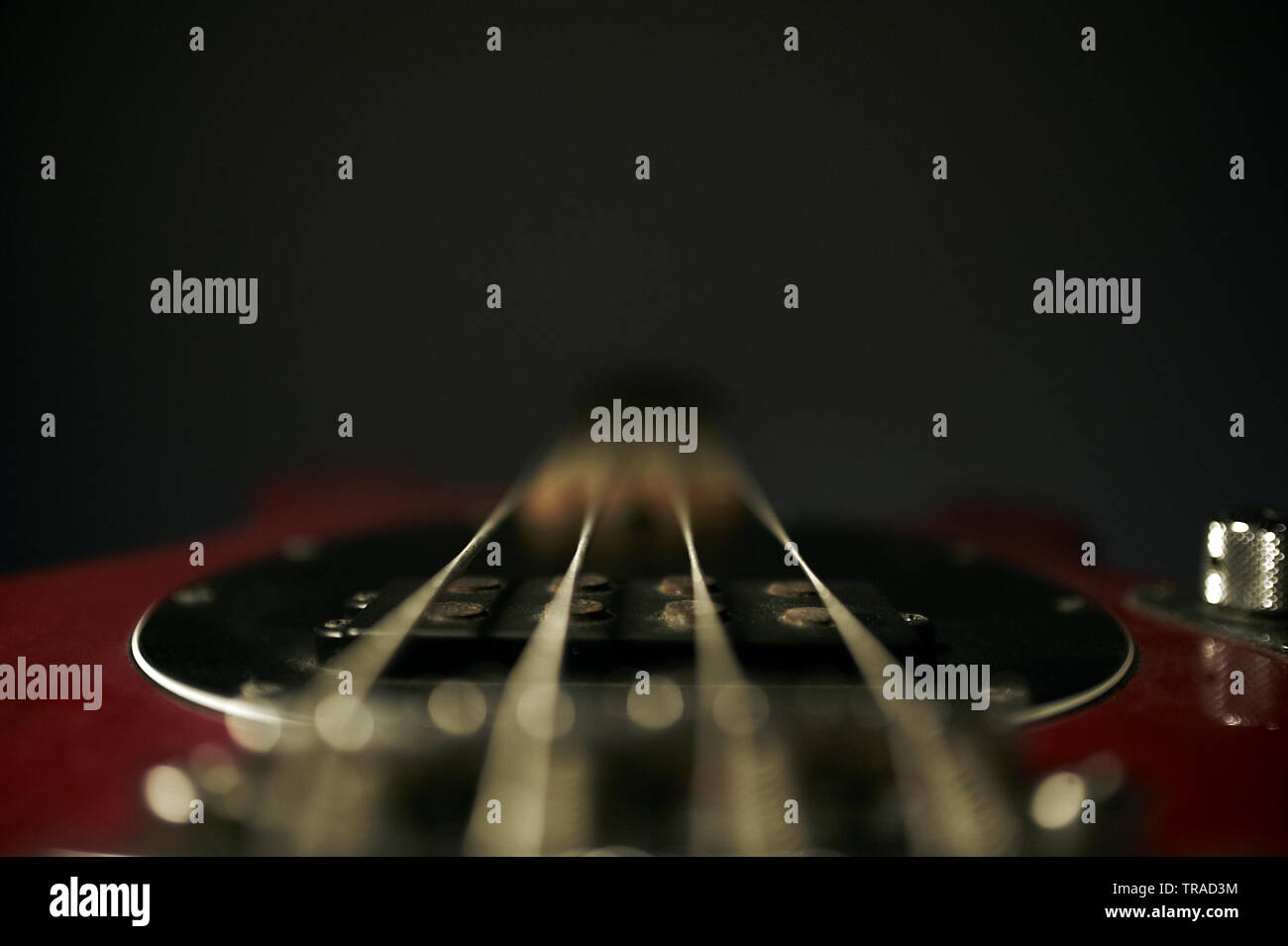 Close up of an electric 4 string bass guitar in a studio Stock Photo ...