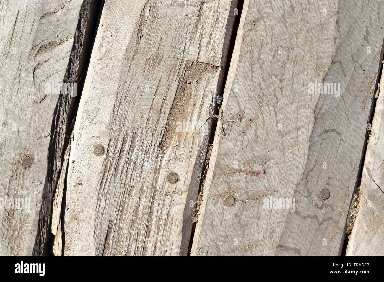 Close up view on detailed wooden plank and log surfaces in high ...