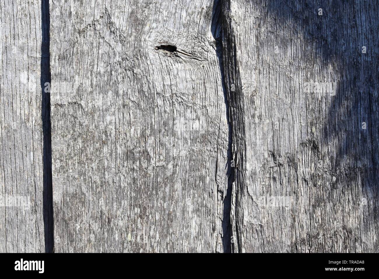 Close up view on detailed wooden plank and log surfaces in high ...