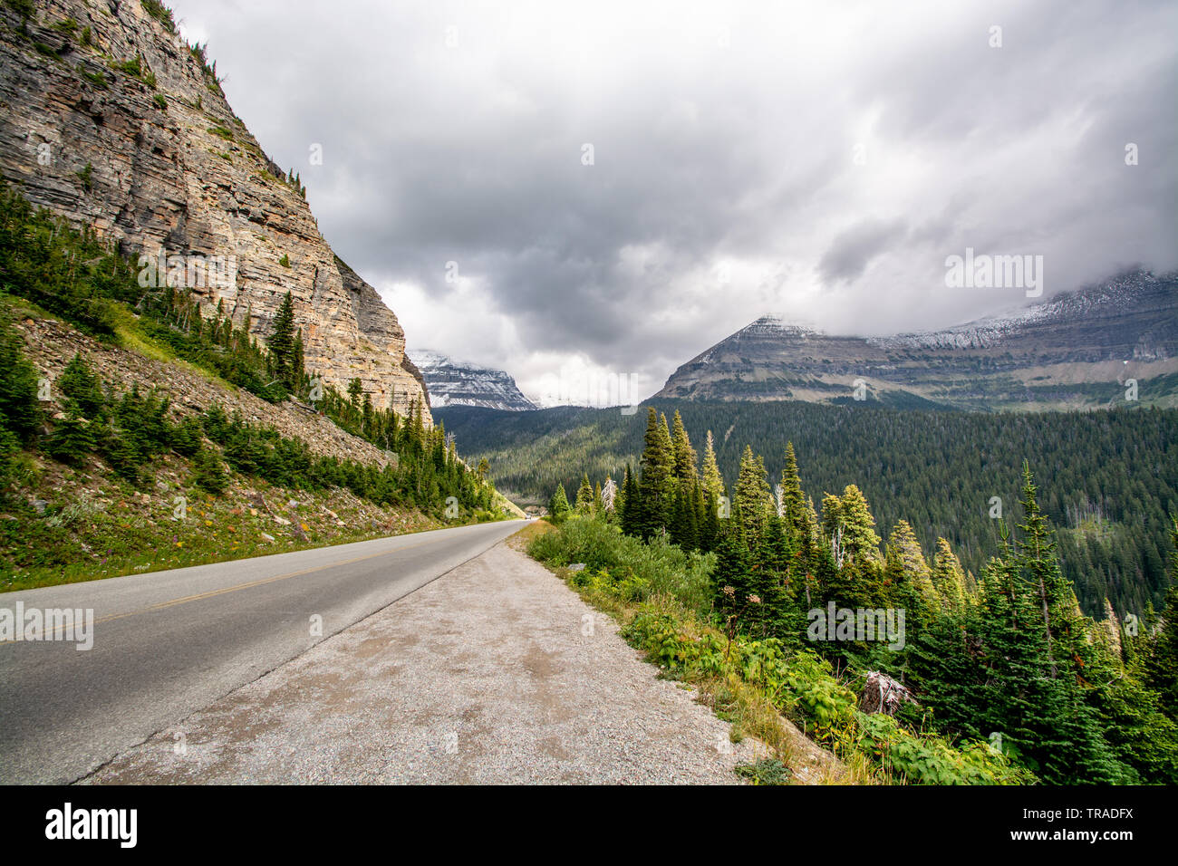 Going to the sun road summer hi-res stock photography and images - Alamy