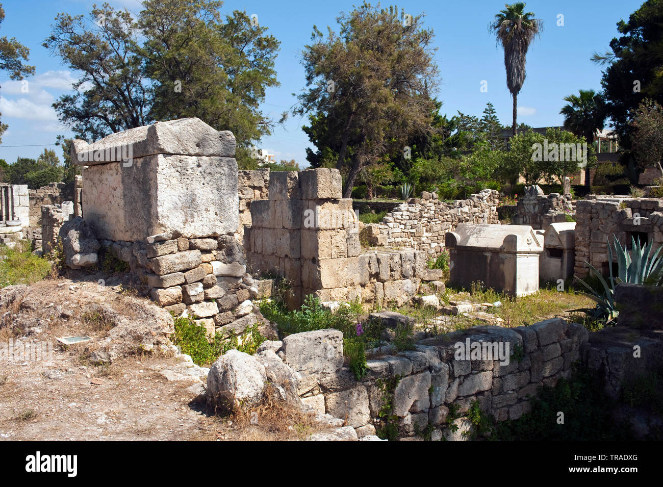 Tyros hi-res stock photography and images - Alamy